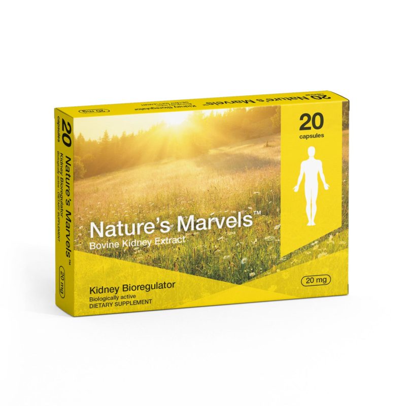 Kidney Bioregulator (Nature's Marvels™) - Antiaging Nutrition